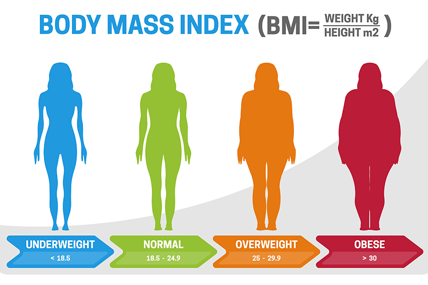 Weight Chart For Senior Females: A Guide | The Summit by Discovery ...