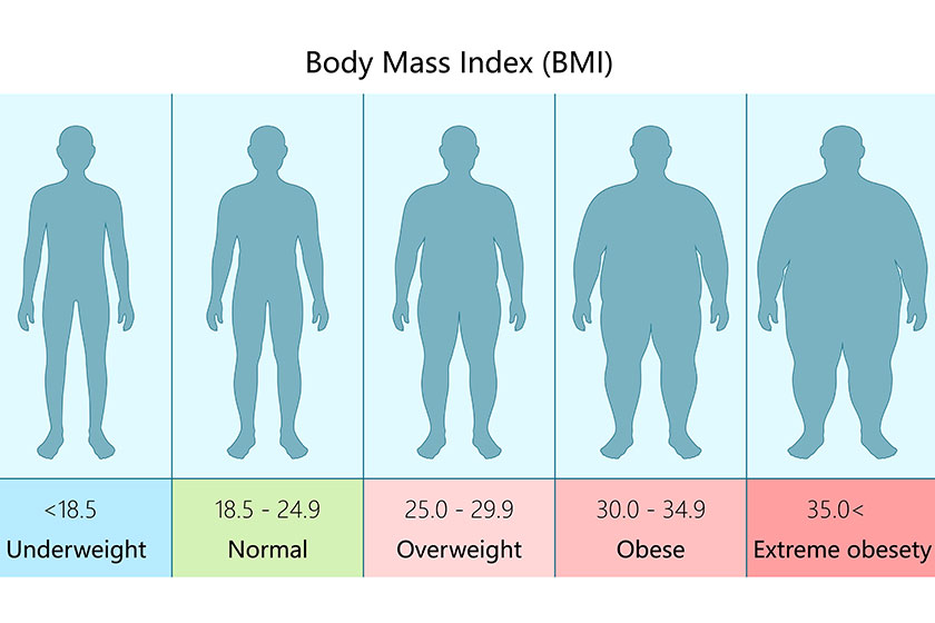 Understanding The Weight Chart For Senior Males | The Summit by ...